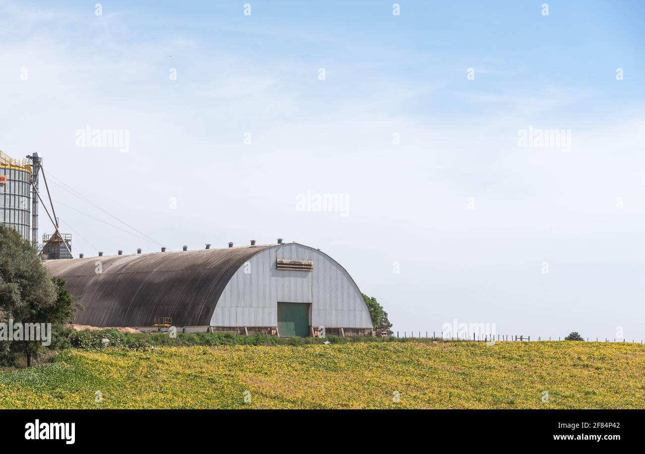 Large agricultural granary for grain storage. construction in which ...