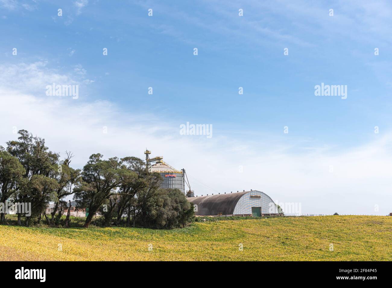 Large agricultural granary for grain storage. construction in which ...