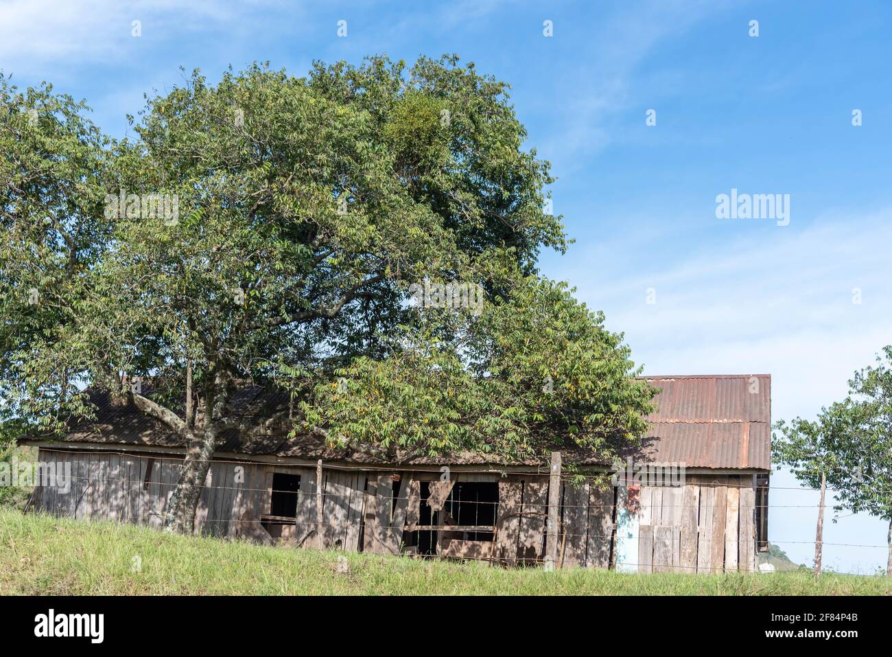 Old cattle barn built of wood and abandoned. Accessory farm ...