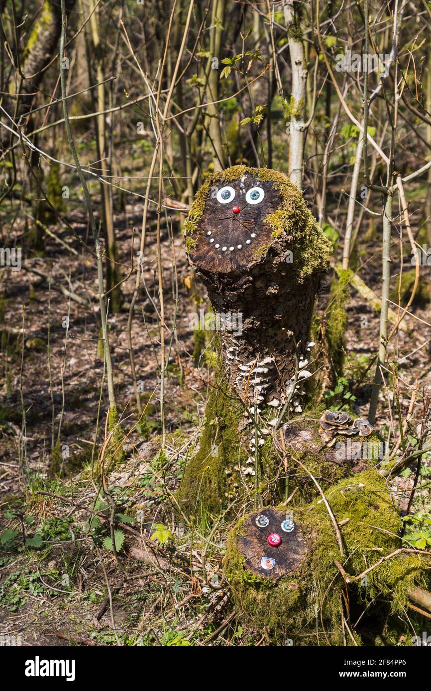 Three stumps hi-res stock photography and images - Alamy