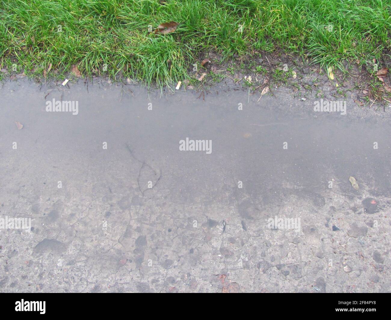 A puddle on a concrete road next to green grass Stock Photo - Alamy