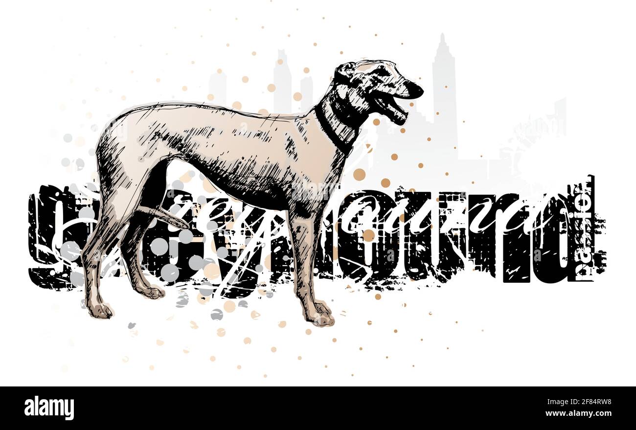 Greyhound poster background Stock Vector Image & Art - Alamy