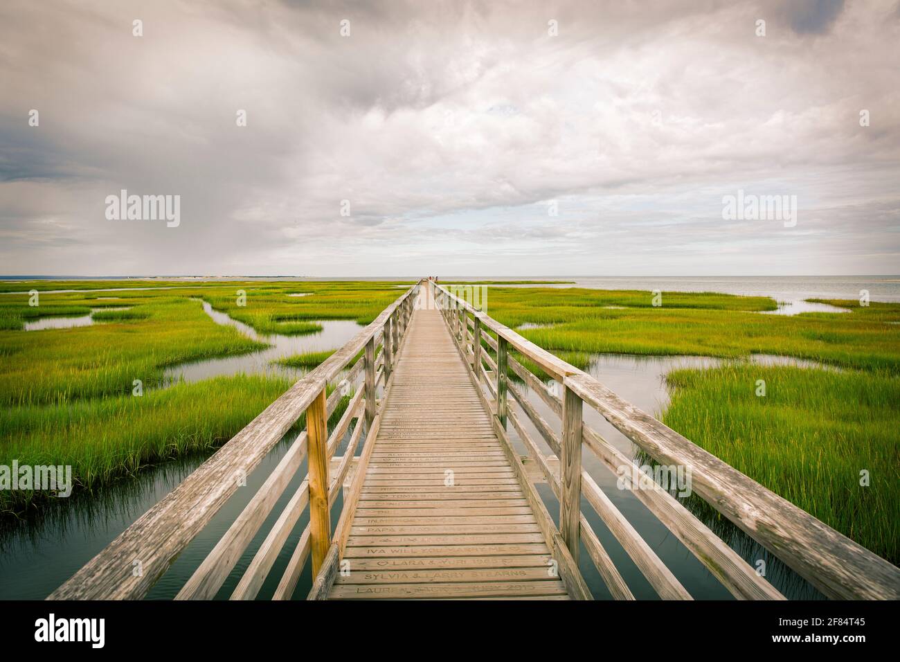 Marsh grass cape cod hi-res stock photography and images - Alamy