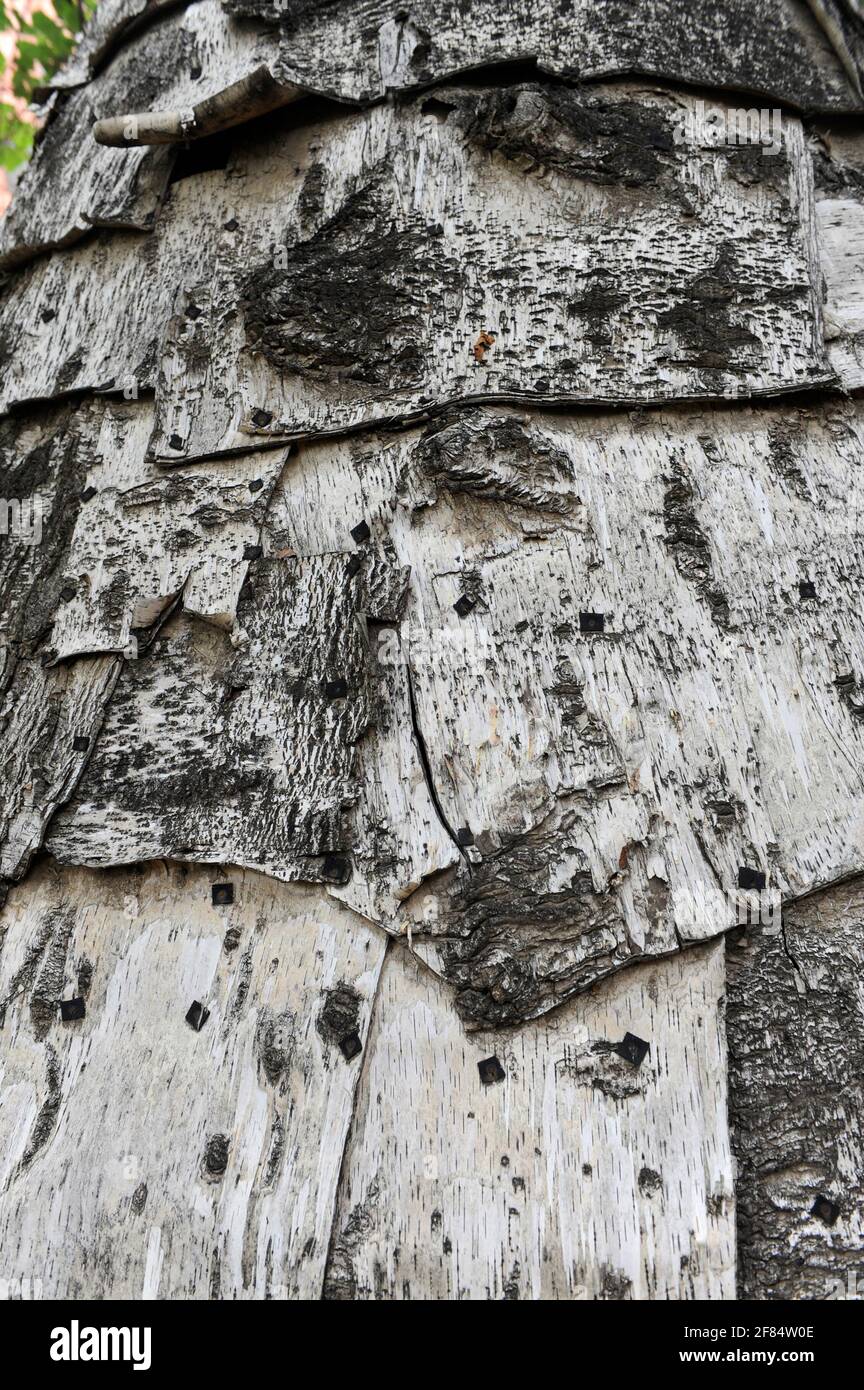 Ethnic culture hi-res stock photography and images - Alamy