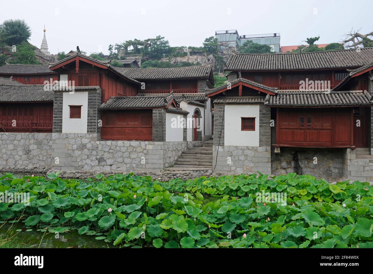 Buildings with lotus ponds in front at the China Ethnic Culture park in ...