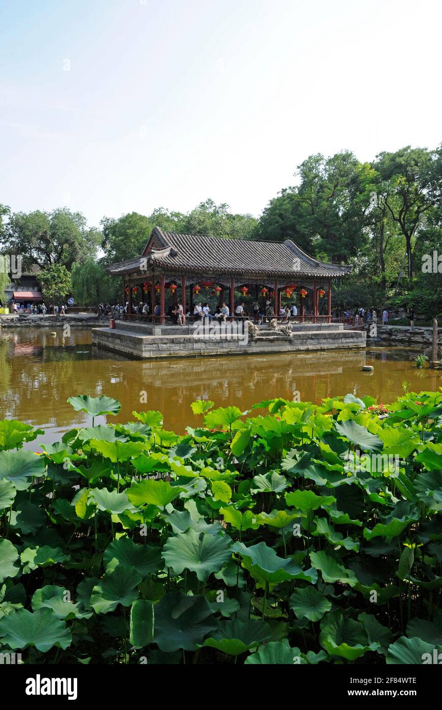 View of lotus plants in the lake and a pavilion behind at Prince Gong's ...