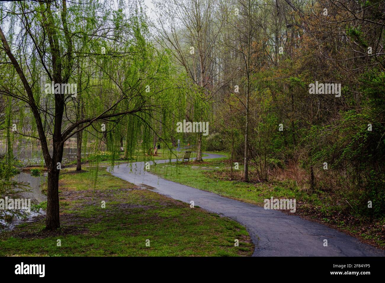 Photo of a hiking path that winds its way through trees and past a pond ...