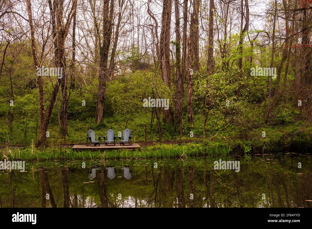 Photo of three wooden chairs in a rest area that are reflected in the ...