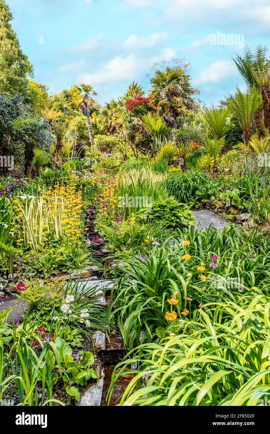 Subtropical Cascade Water Garden at the center of Trebah Garden ...