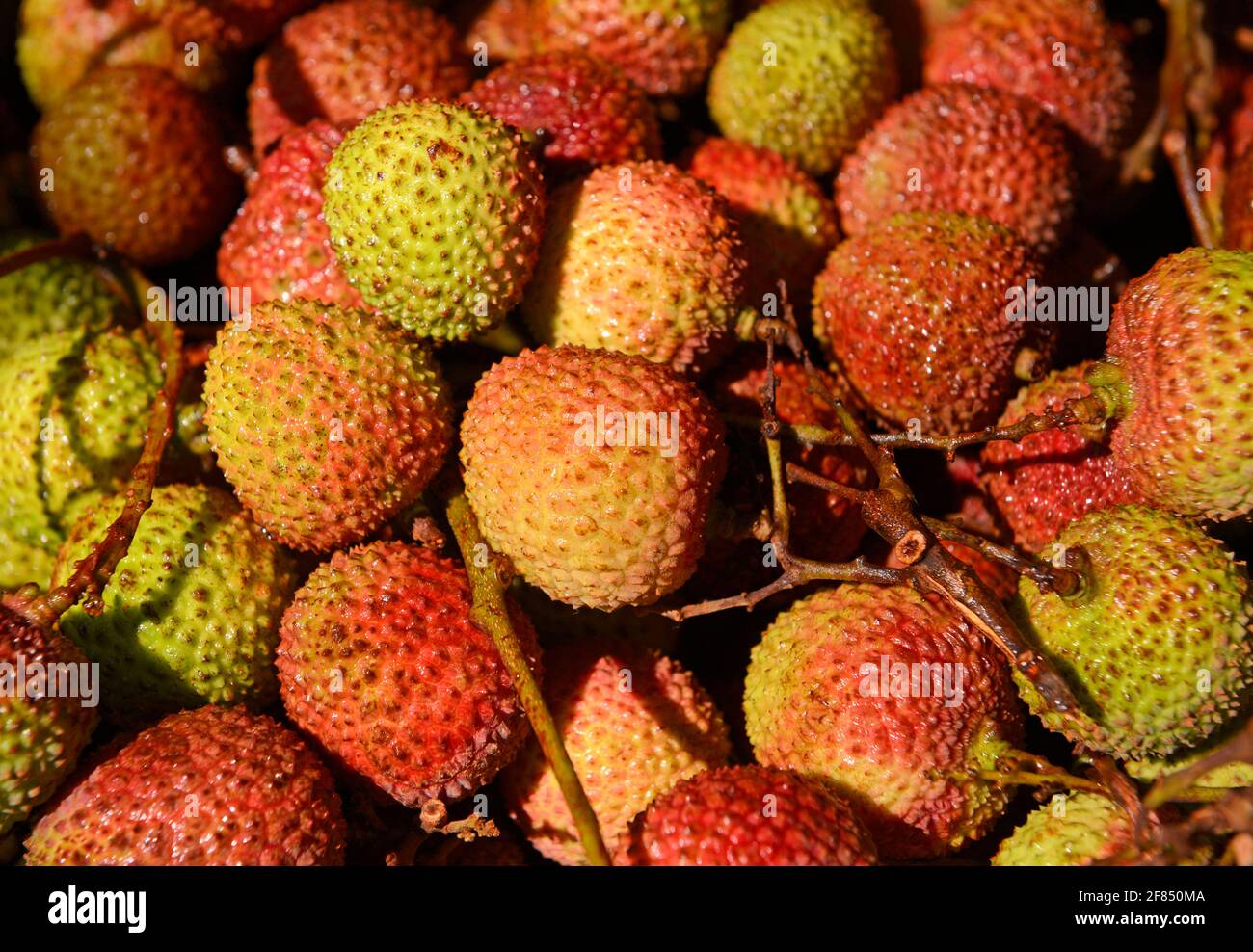 Loose lychees on sale in a fruit shop in Beijing, China Stock Photo - Alamy