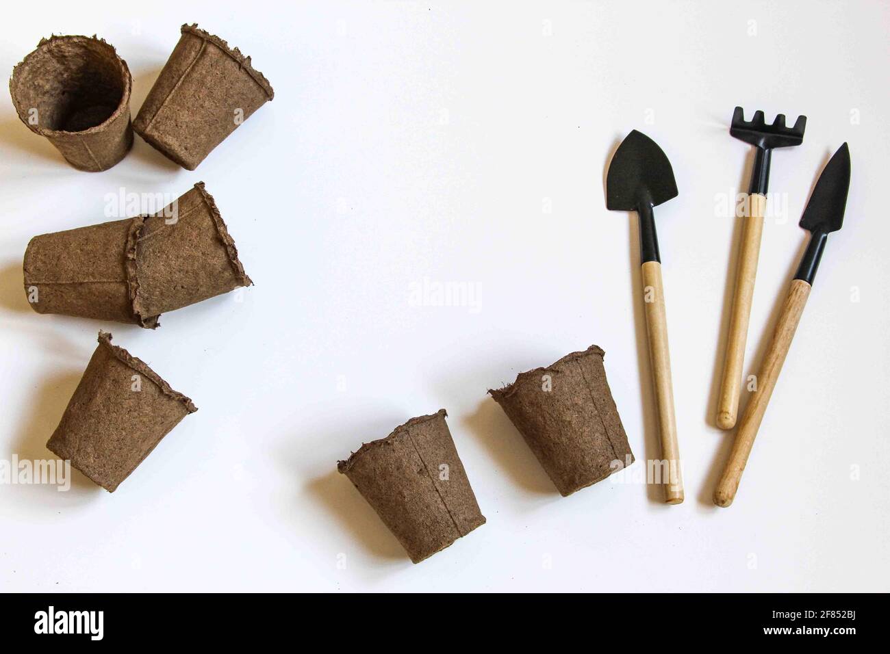 Gardening at home. Growing food on window. Tools, peat pots for ...