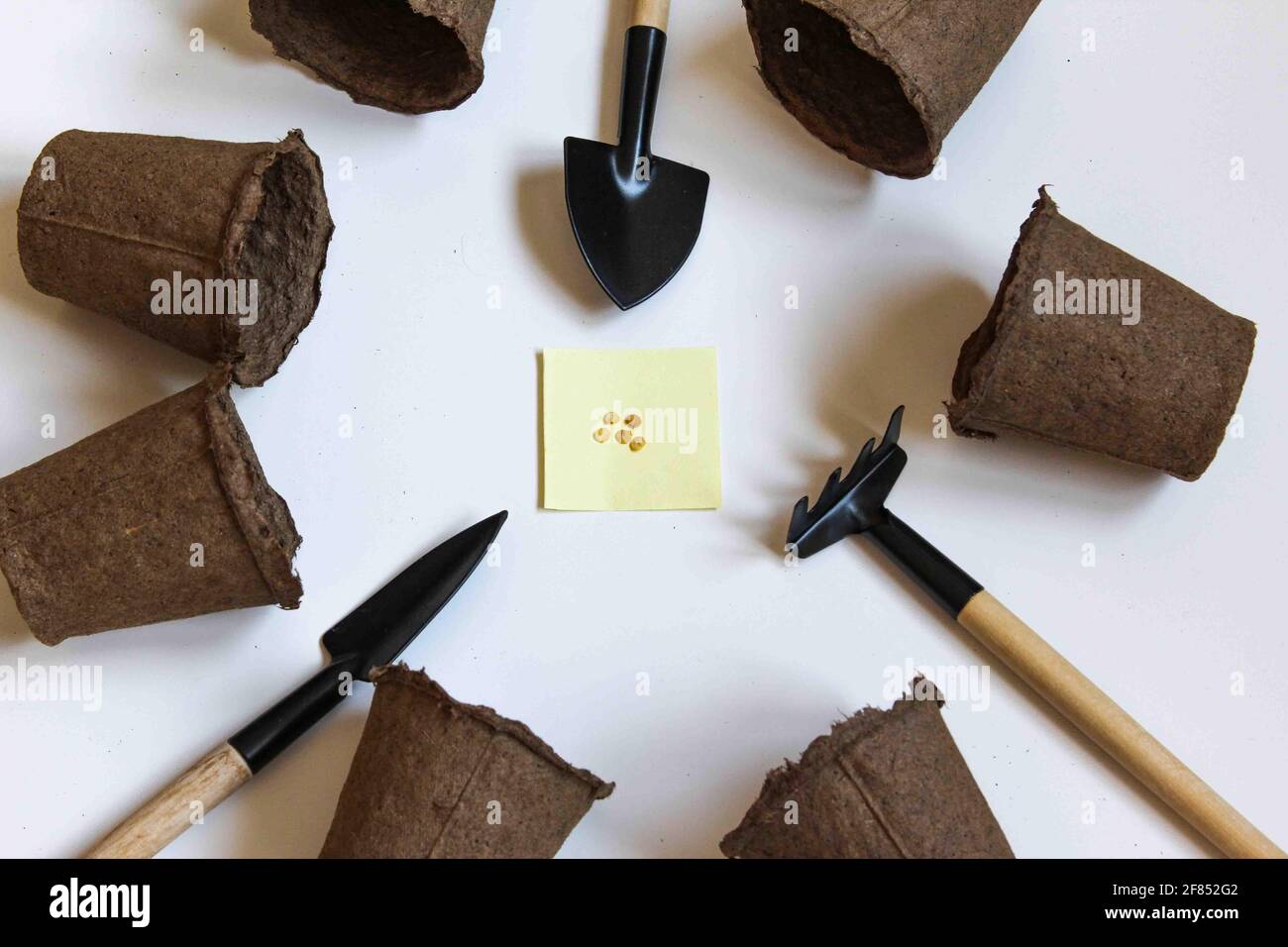 Gardening at home. Growing food on windowsill. Tools, peat pots for ...