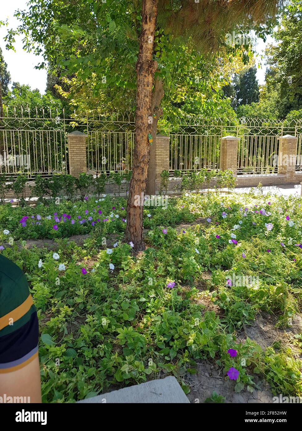 shiraz, iran - april 12, 2017: tourism photo of beautiful gardens in ...