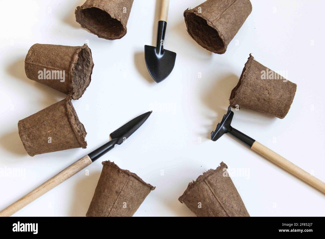 Gardening at home. Growing food on window. Tools, peat pots for ...