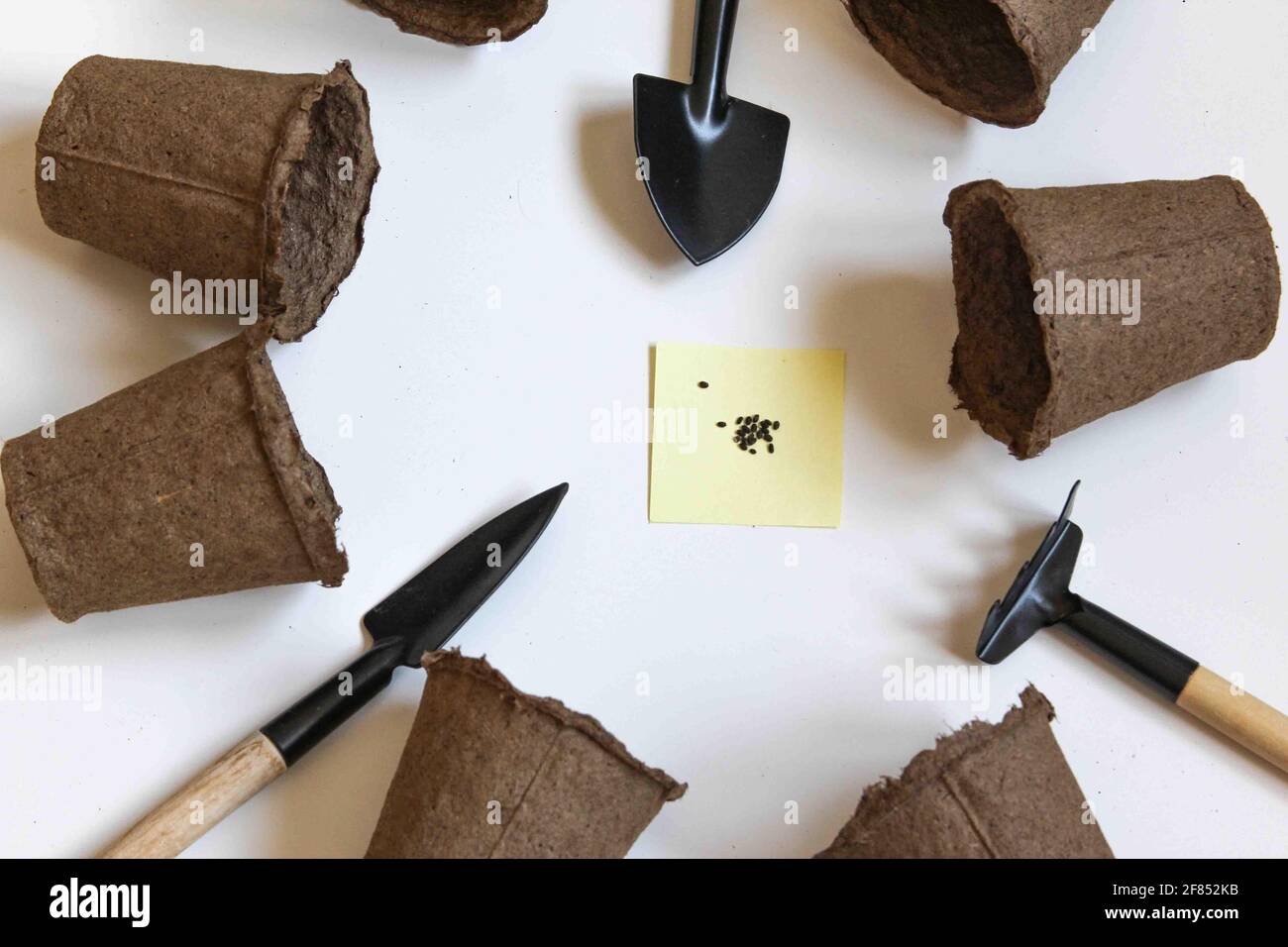 Gardening at home. Growing food on window. Tools, peat pots for ...