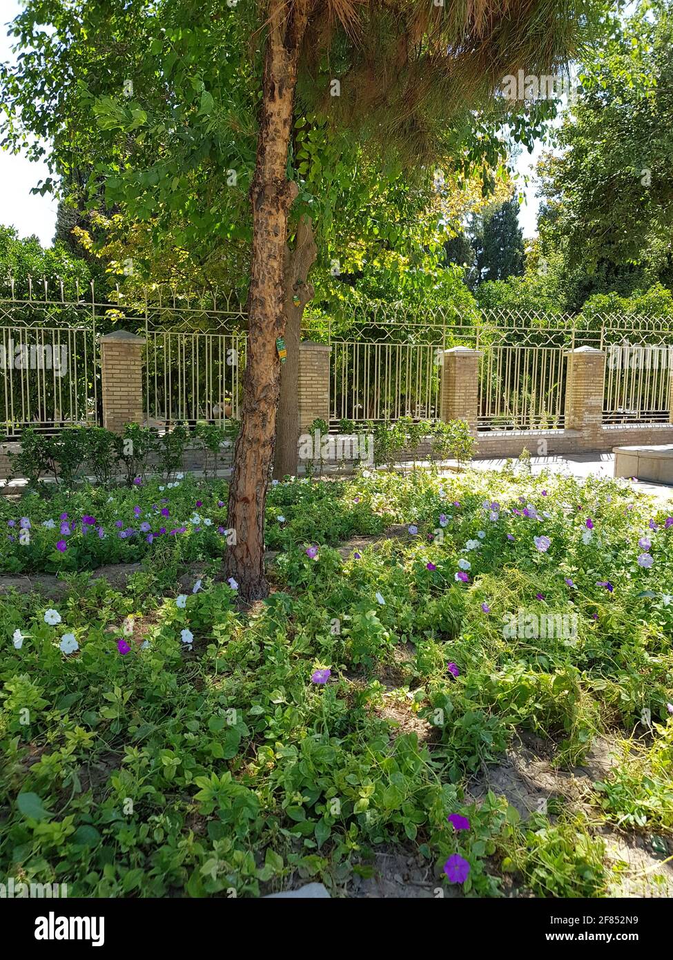 shiraz, iran - april 12, 2017: tourism photo of beautiful gardens in ...
