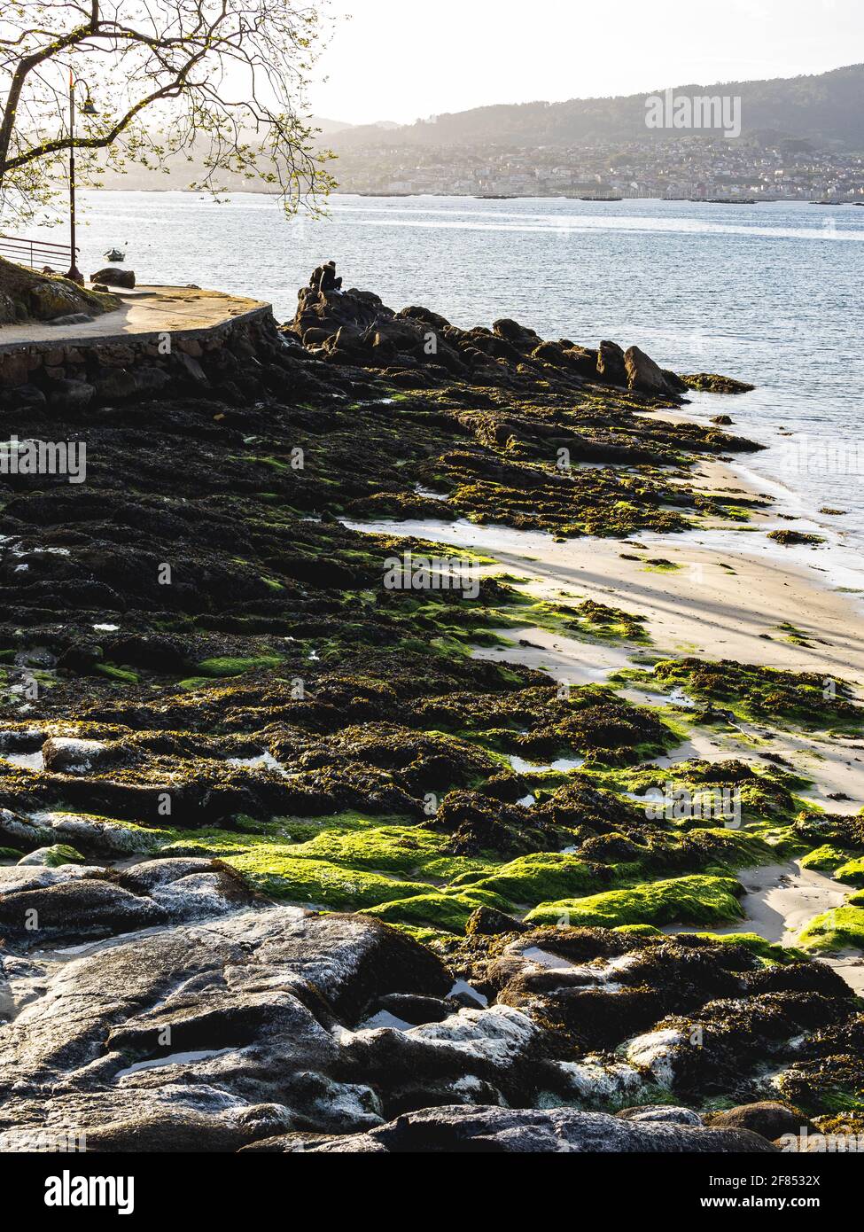 Vertical shot tranquil lake hi-res stock photography and images - Alamy