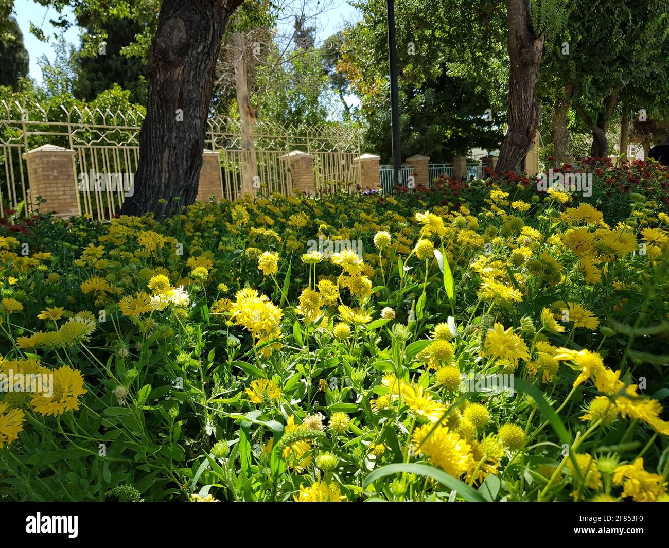 shiraz, iran - april 12, 2017: tourism photo of beautiful gardens in ...