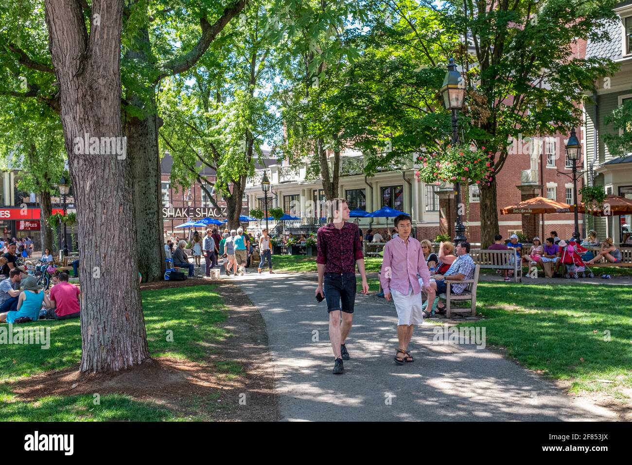 Men woman student hi-res stock photography and images - Alamy