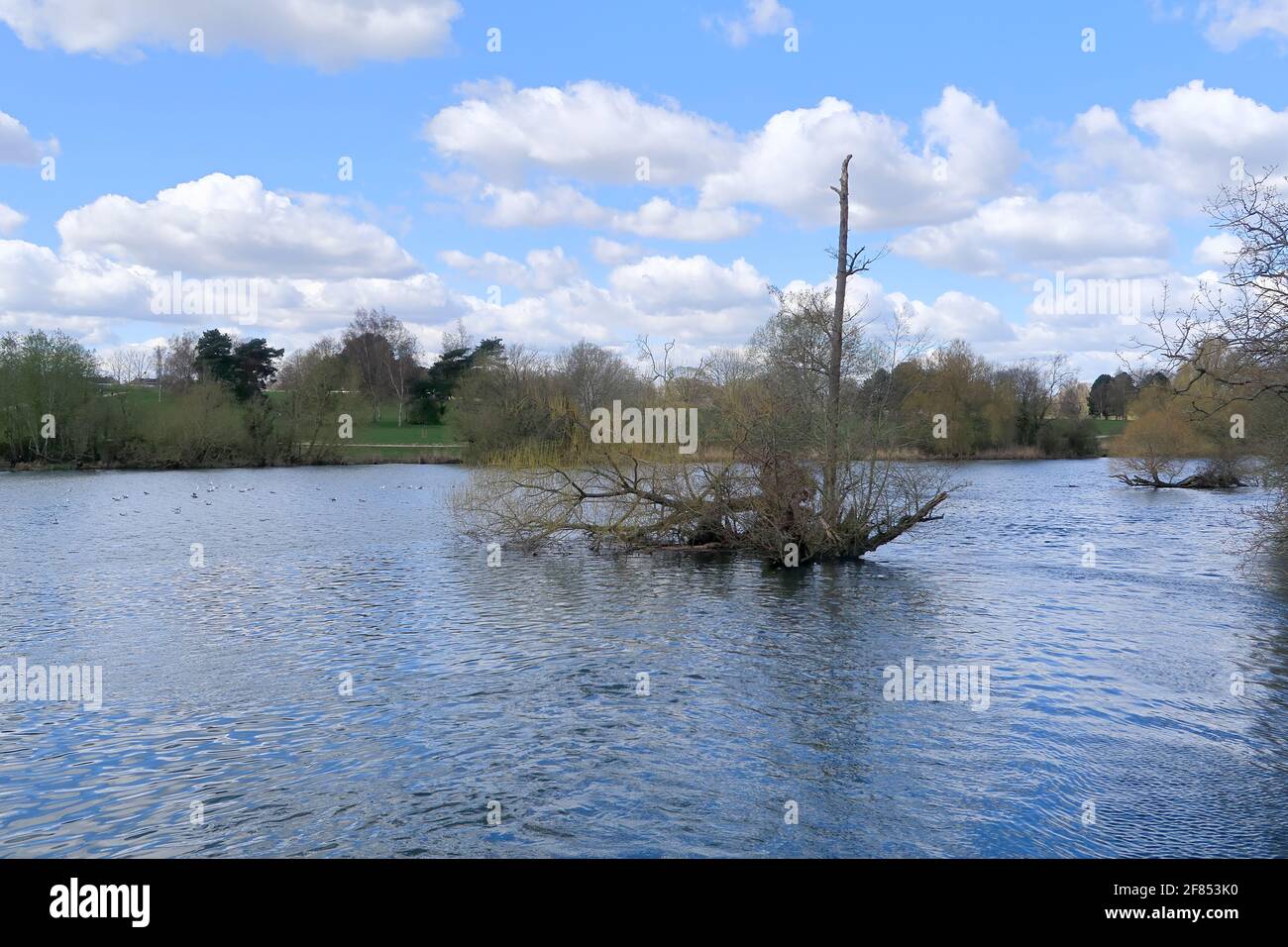 Mote park maidstone hi-res stock photography and images - Alamy