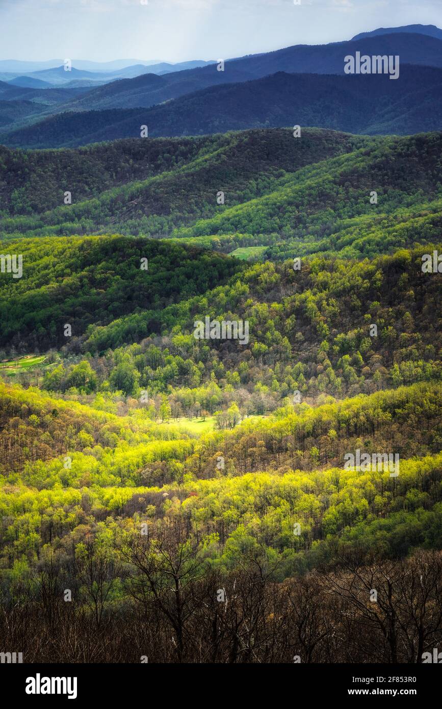 Shenandoah national park spring hi-res stock photography and images - Alamy