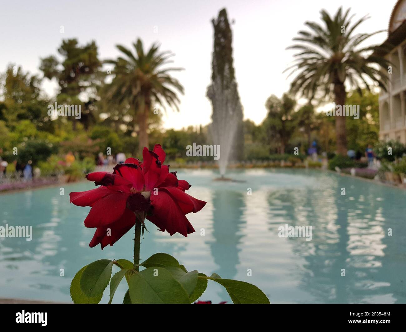 shiraz, iran - april 12, 2017: tourism photo of beautiful gardens in ...