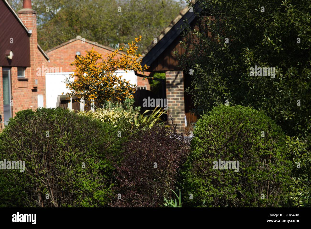 View of residential buildings, shrubbery and hedges at the quaint ...