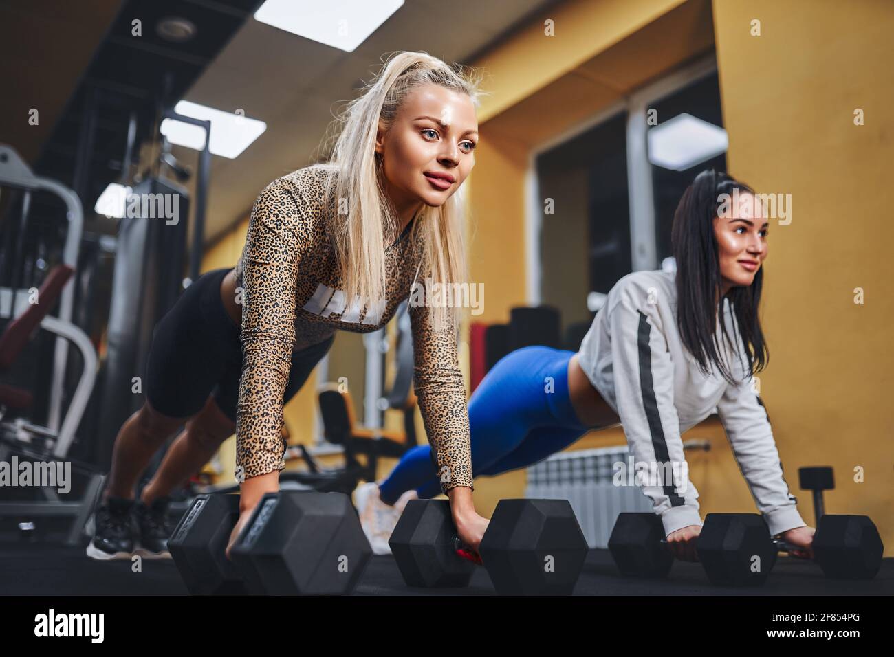 Healthy lifestyle. Portrait of two young athletic girls doing plank in ...