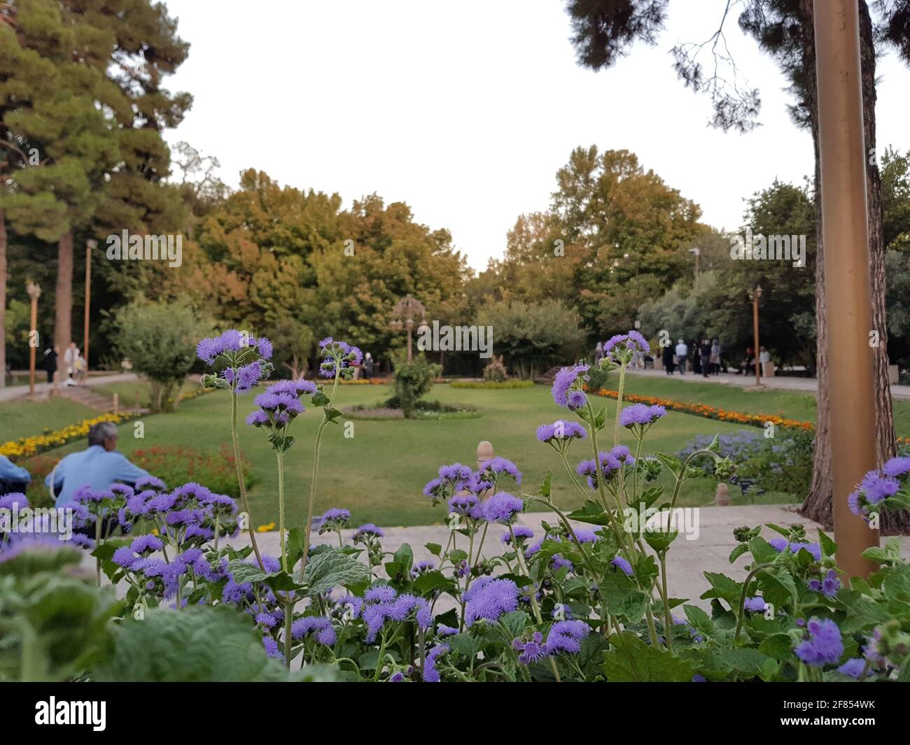 shiraz, iran - april 12, 2017: tourism photo of beautiful gardens in ...