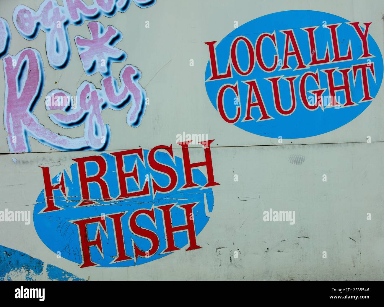 Drawing of words Fresh Fish on one side and Locally Caught on the other ...