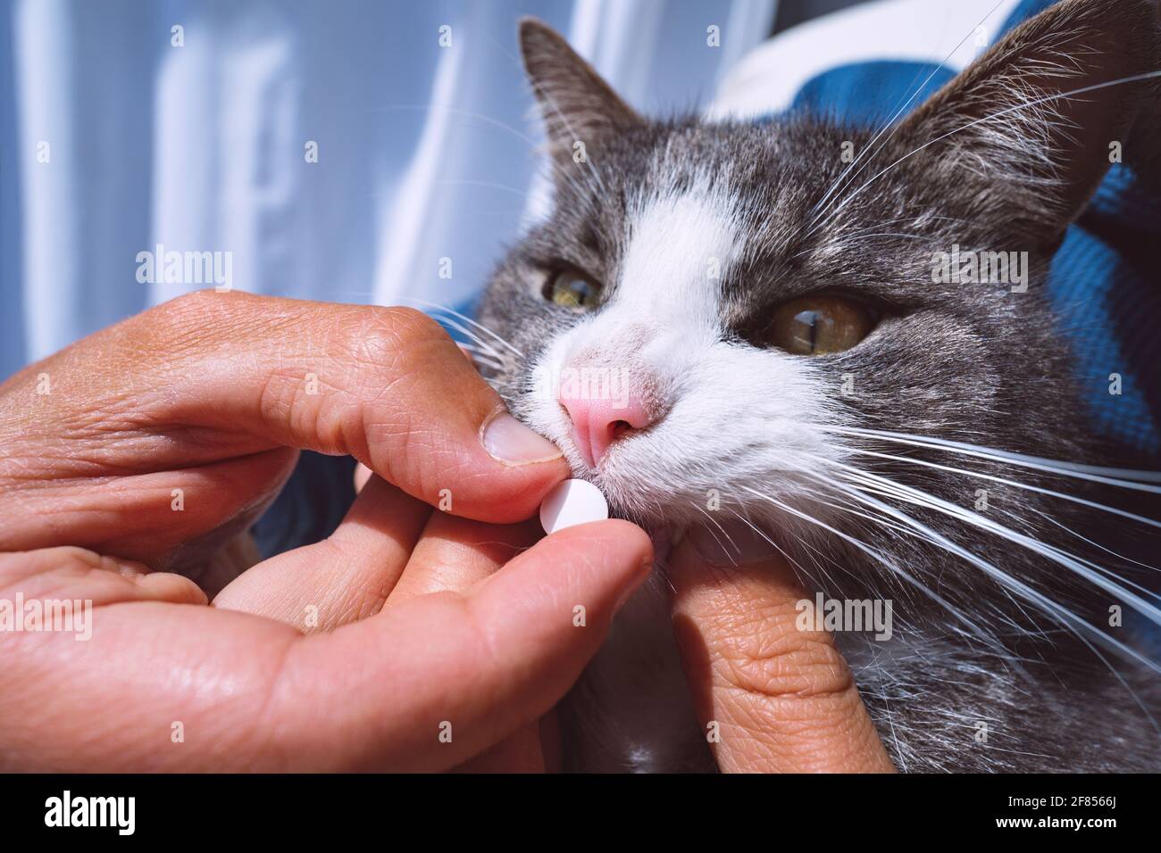 Tablet give hi-res stock photography and images - Alamy