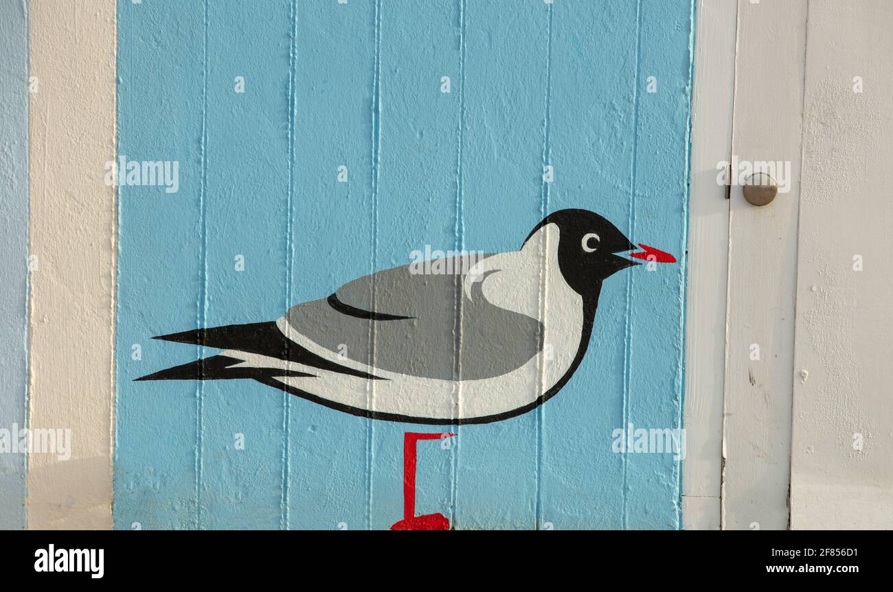 British seabird illustration hi-res stock photography and images - Alamy