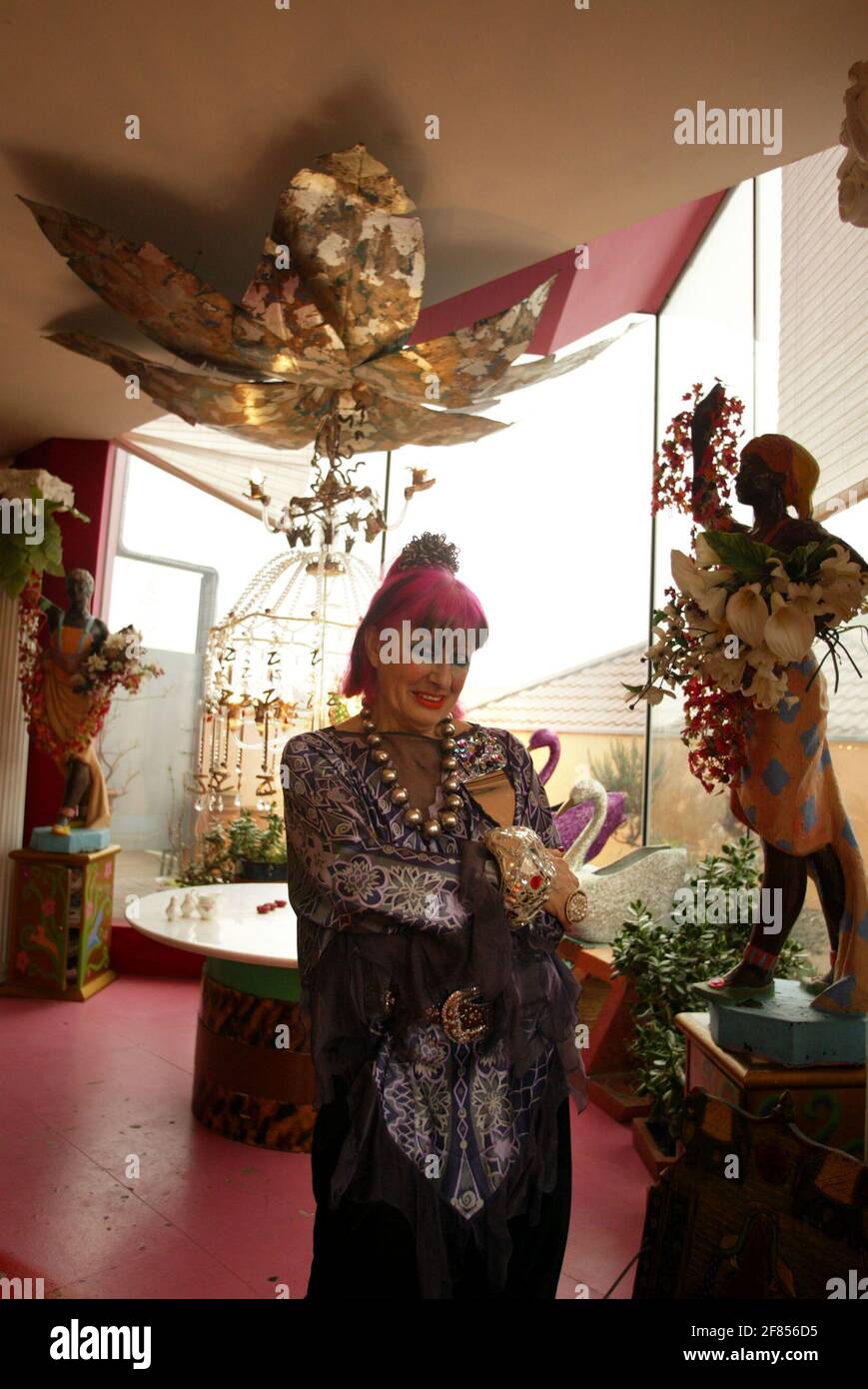 Zandra rhodes home hi-res stock photography and images - Alamy