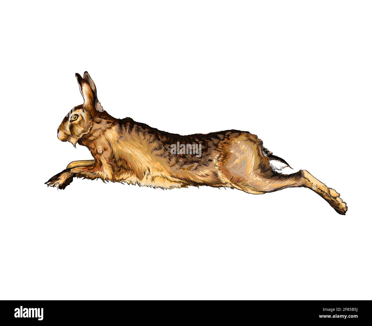 Running Hare Clipart