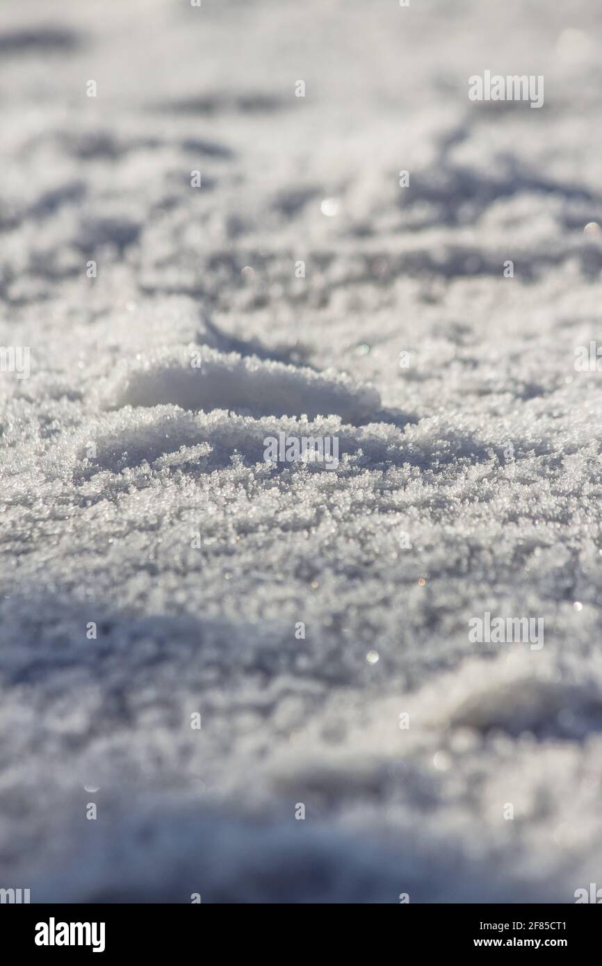 Glacial particles hi-res stock photography and images - Alamy