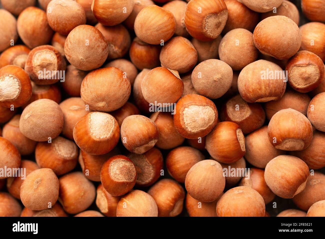 Hazelnuts. Stack of hazelnuts. Food background. Hazelnut background ...