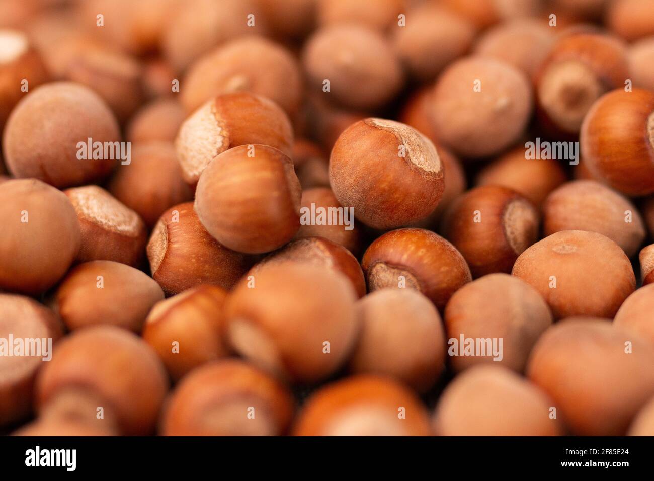Hazelnuts. Stack of hazelnuts. Food background. Hazelnut background ...