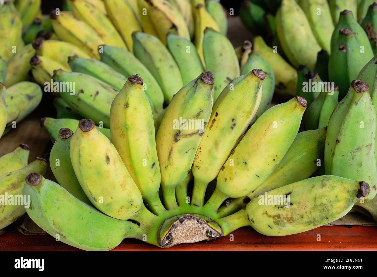 Bunch Of Bananas Shop High Resolution Stock Photography and Images - Alamy
