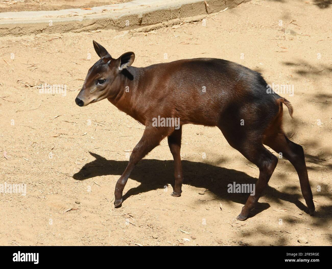 Los Angeles, California, USA 8th April 2021 A general view of ...