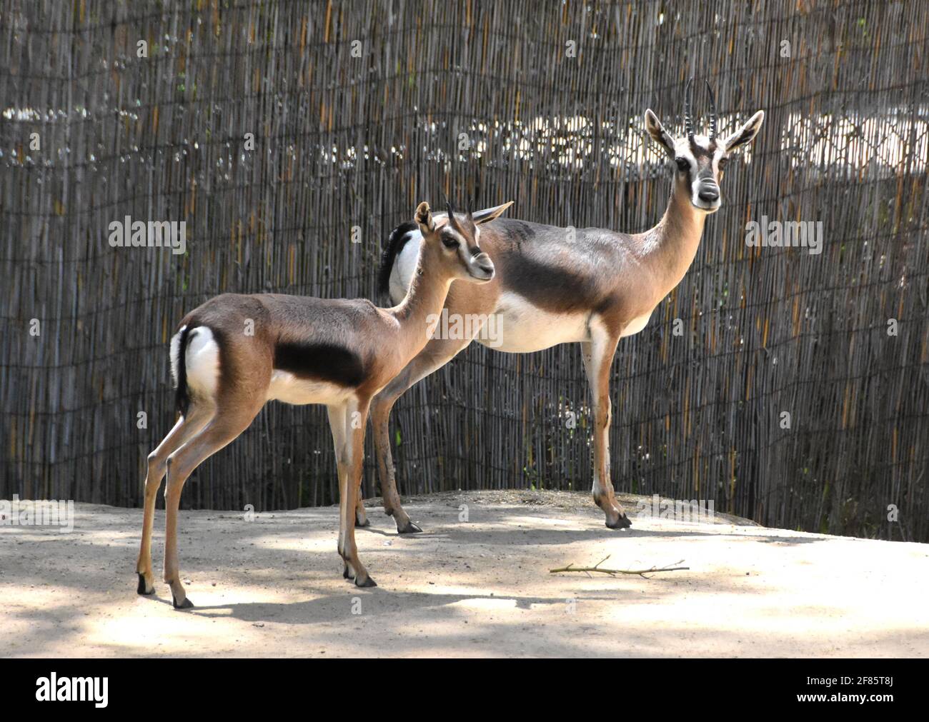 Los Angeles, California, USA 8th April 2021 A general view of ...