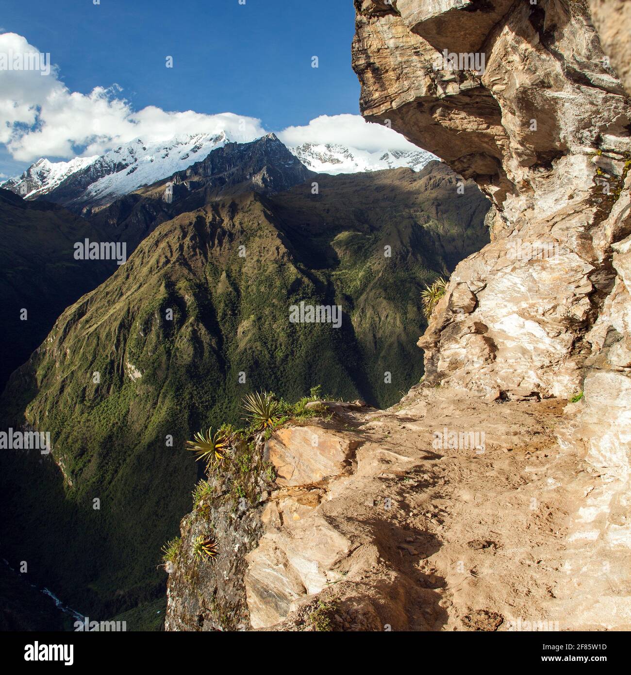 Machu Picchu Like Face