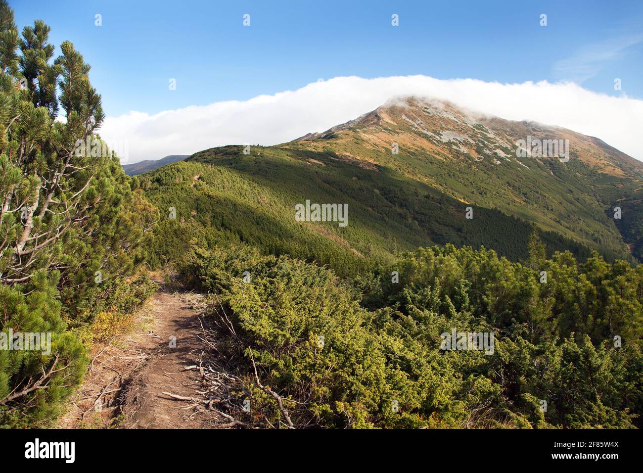View from Ukraine Carpathian mountains, mount Pip Ivan, panoramic view ...