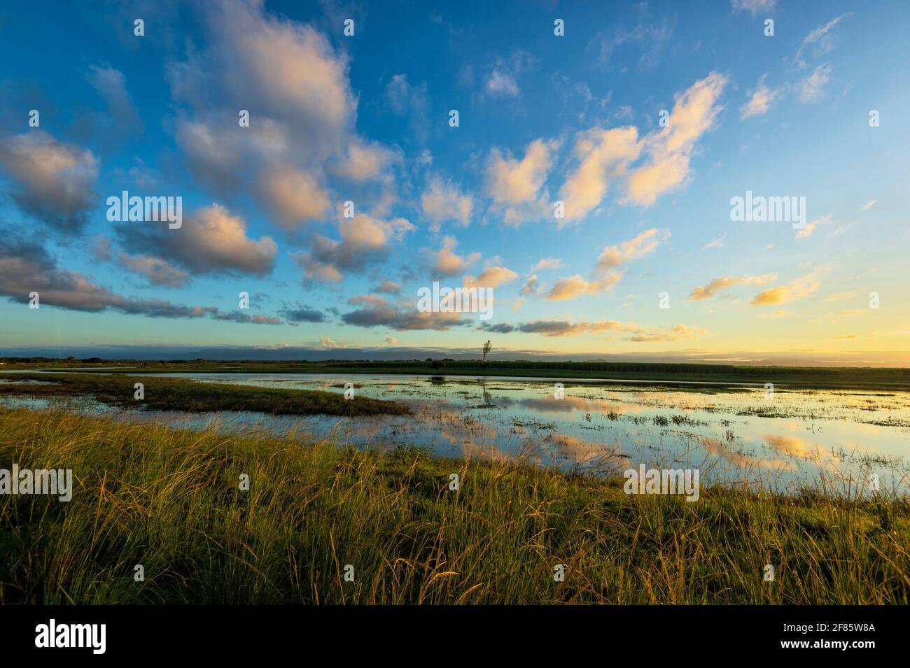 Atmospheric sunset over wetlands at Mungalla Station, near Ingham ...