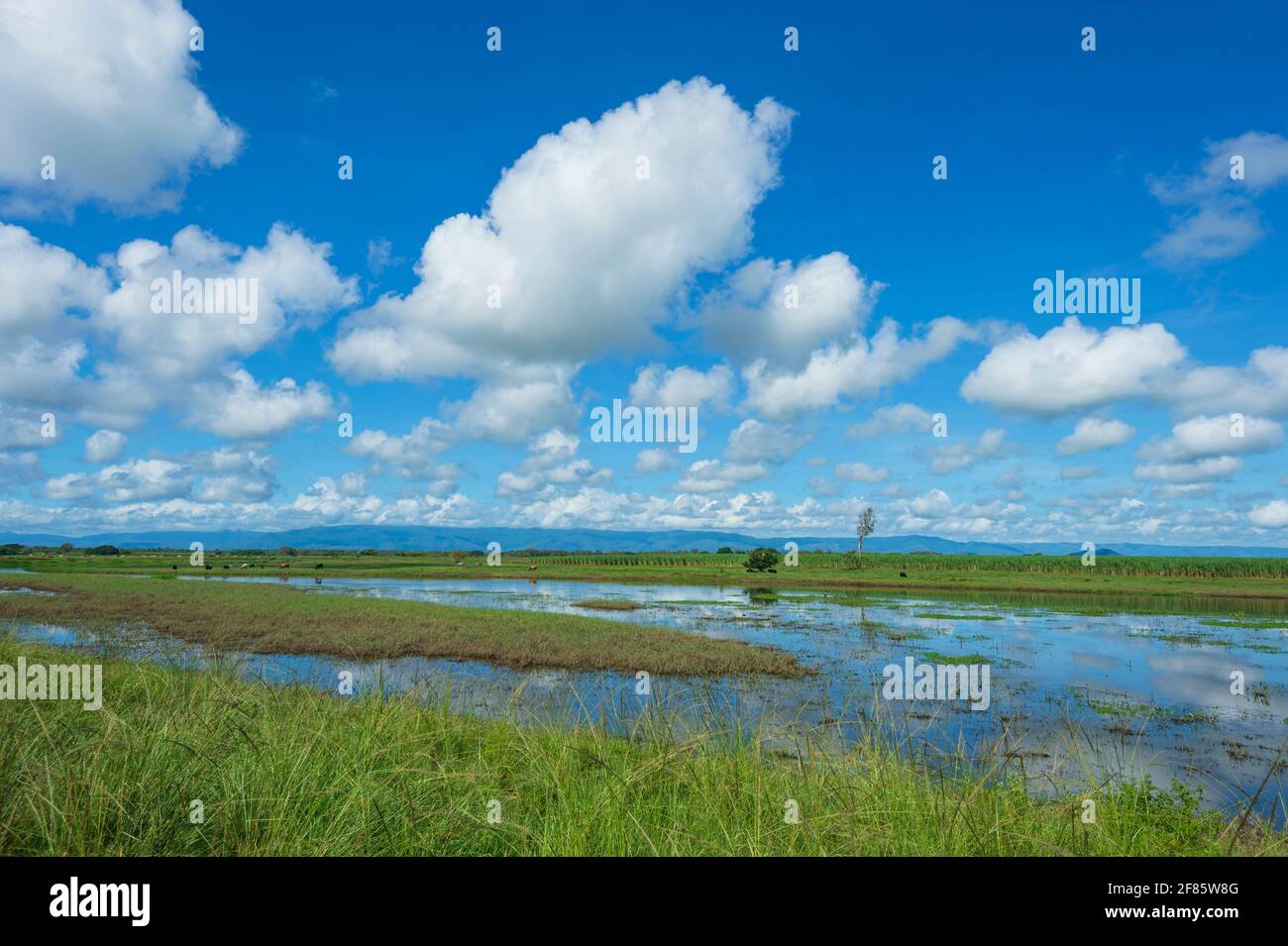 Ingham queensland hi-res stock photography and images - Alamy
