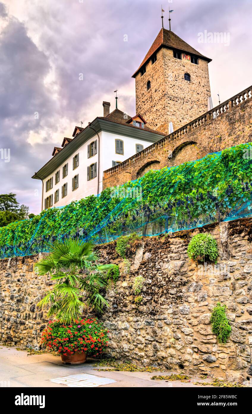 View of Spiez Castle in Switzerland Stock Photo - Alamy