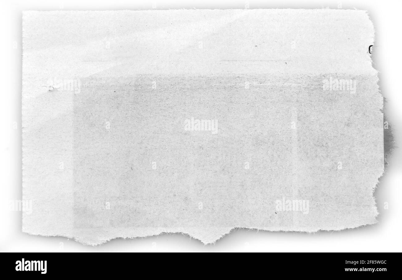 Piece of torn paper on plain background Stock Photo - Alamy