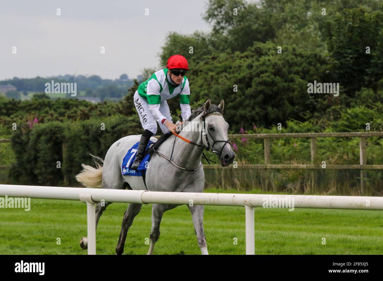 Gary halpin 2020 hi-res stock photography and images - Alamy
