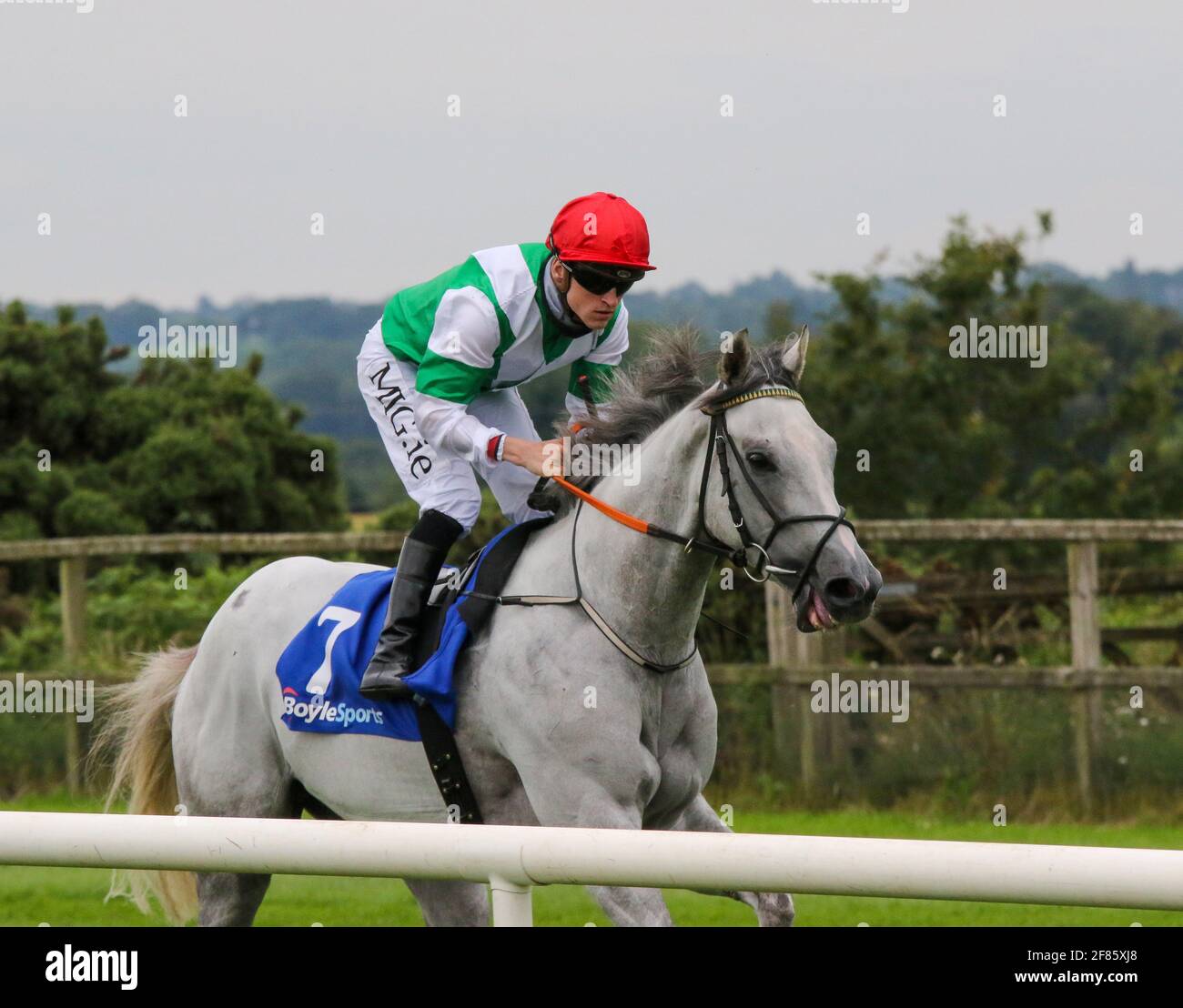 Springbank gary halpin 2020 hi-res stock photography and images - Alamy