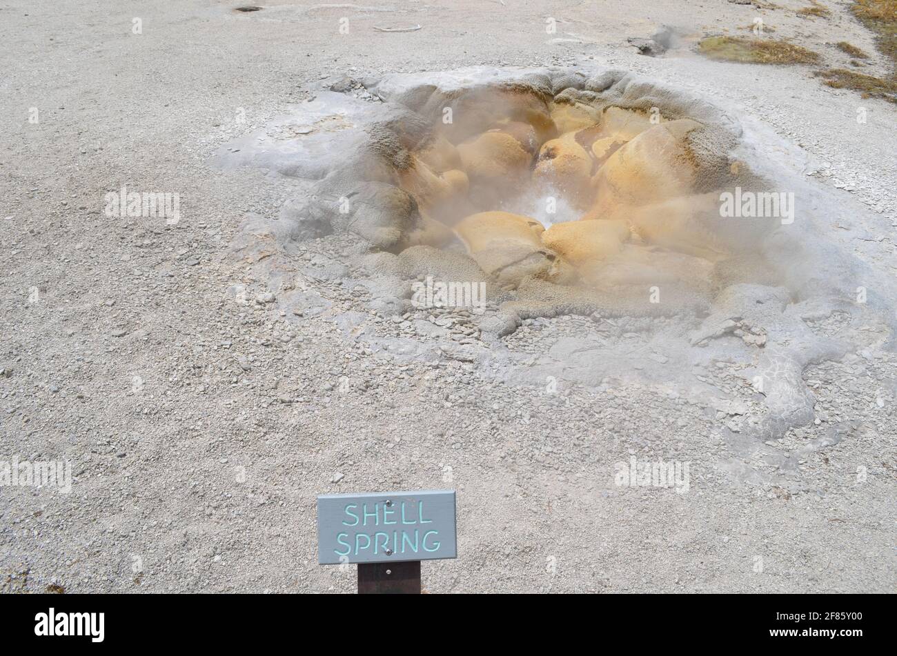 YELLOWSTONE NATIONAL PARK, WYOMING - JUNE 9, 2017: Shell Spring of the ...