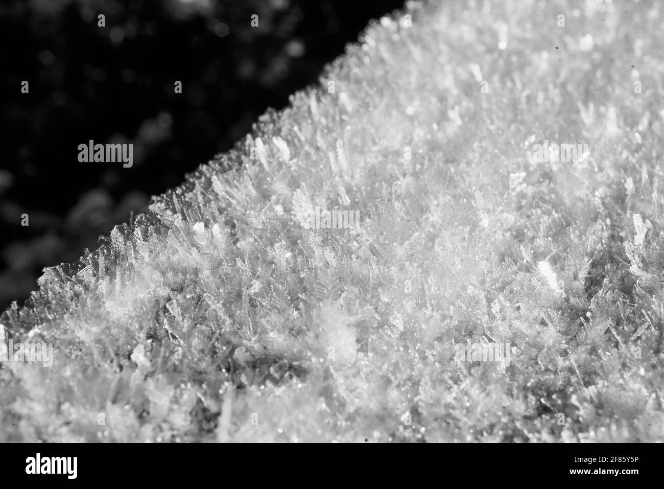 frost art - frozen snow Stock Photo - Alamy